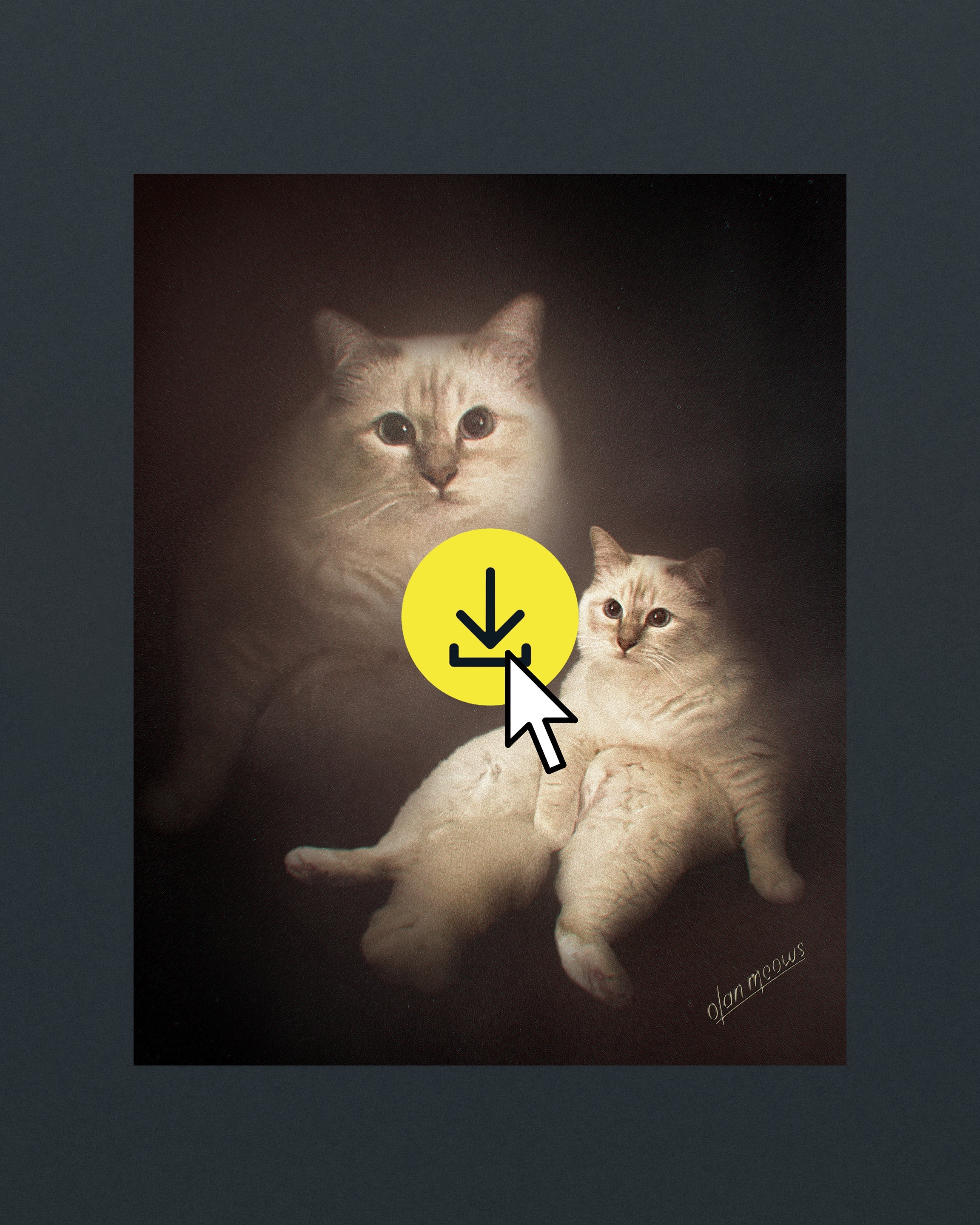 Digital Portrait – Olan Meows