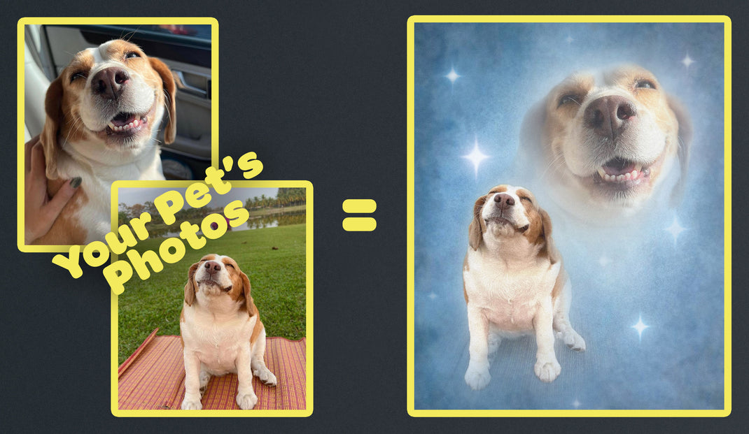 Custom Pet Portraits – Olan Meows