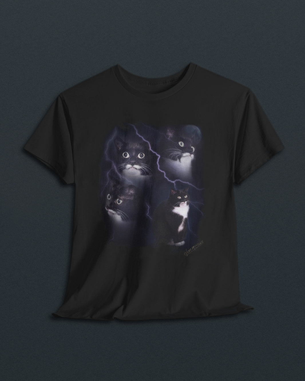 Custom Pet Portraits – Olan Meows