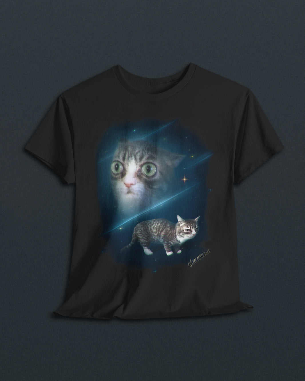 Custom Pet Portraits – Olan Meows